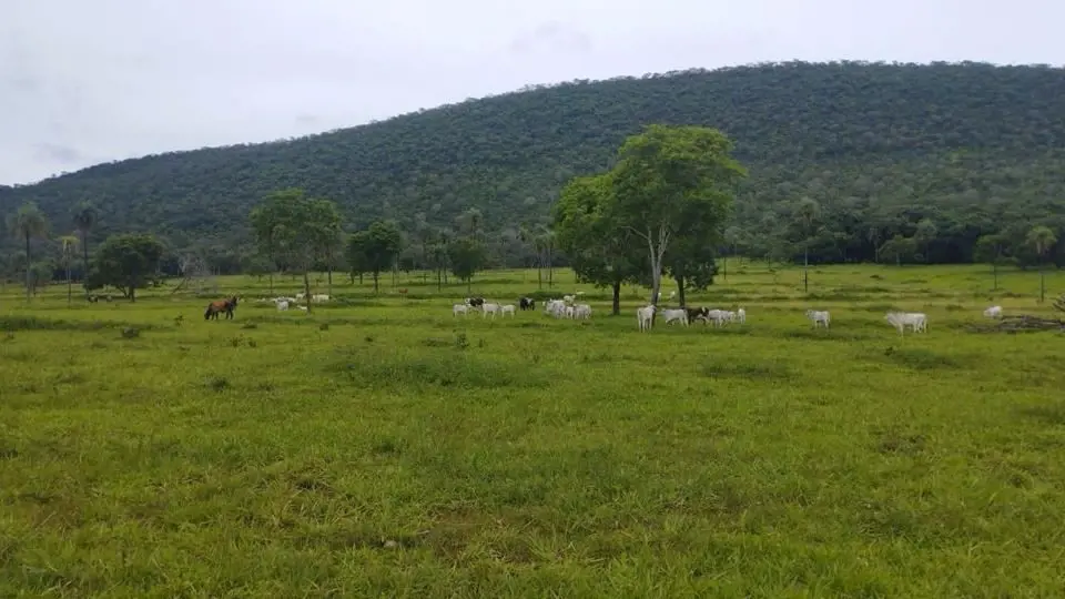 1 Imóveis Rurais à venda em Jk, GO - 62imoveis.com