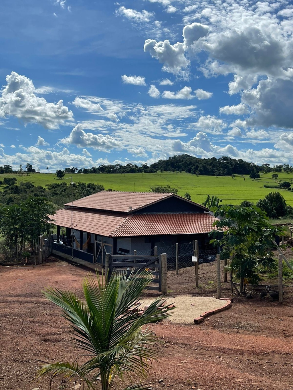 Rural à venda com 3 quartos em Caturai, Caturai - R$ 600.000,00, 0,01 ...